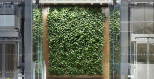 Green Wall | Vertical Gardens and Living Walls – Best Green Wall Company